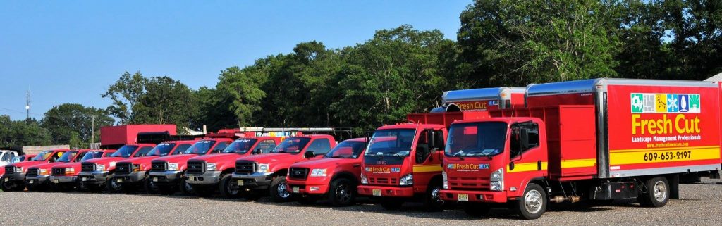 About Us | Fresh Cut